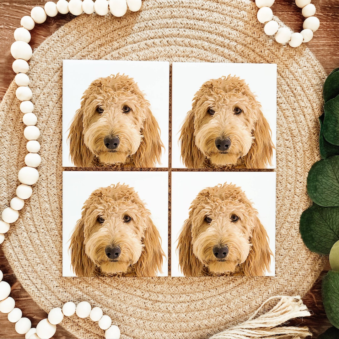 Golden Doodle Coasters - Set of 4 Coasters - Golden Doodle Owner- Gift ...