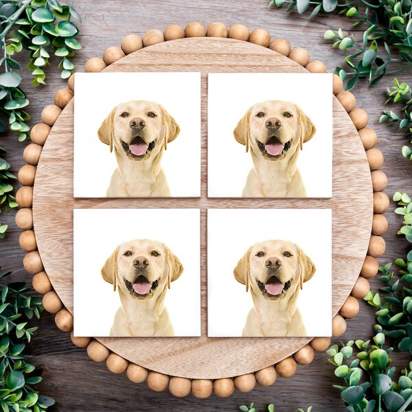 Yellow Lab Decor - Etsy