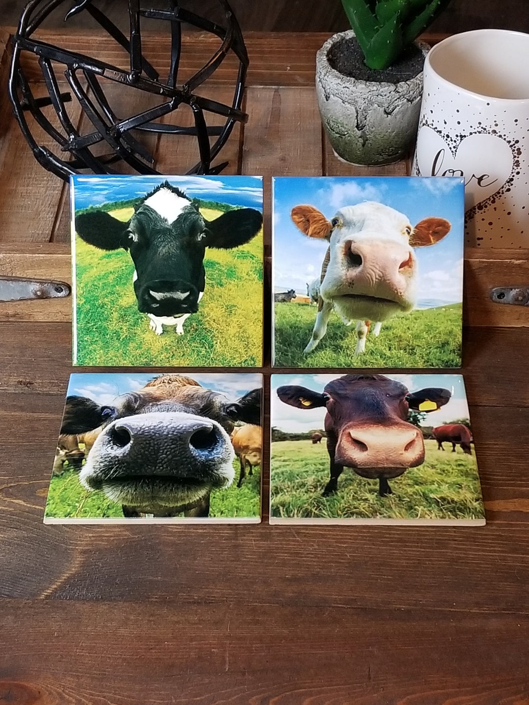 Cow Coasters | up Close Cows - Set of 4 - Cow Lovers - Country Decor ...
