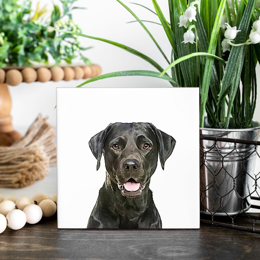 Black Lab Coasters - Set of 4 Coasters - Lab Coasters - Black Lab Owner ...