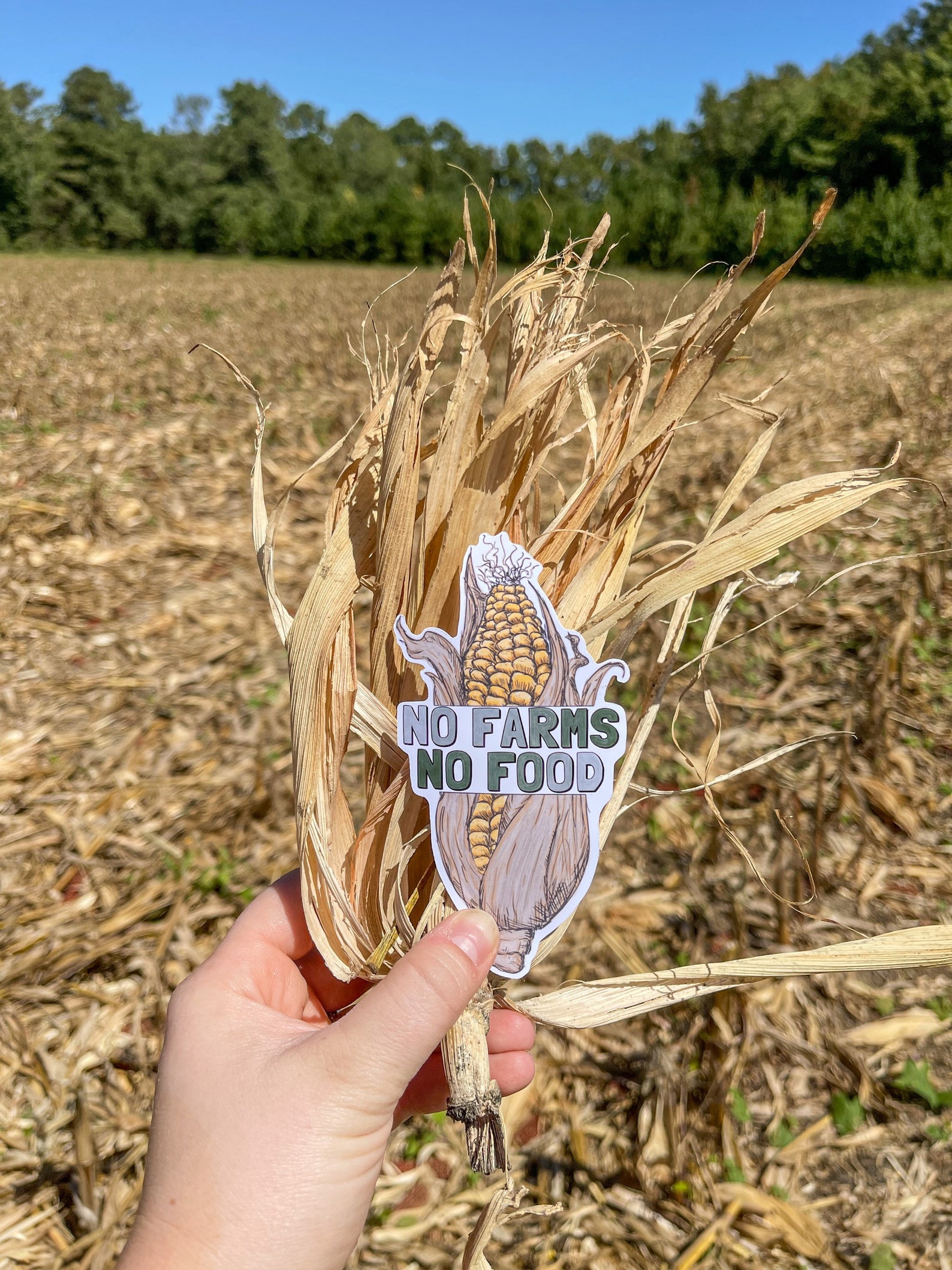 No Farms No Food Color, Sticker, Decal, Bumper Sticker - Etsy