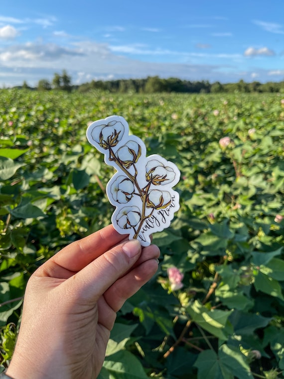 Locally Grown Cotton Stalk sticker / decal / bumper sticker | Etsy