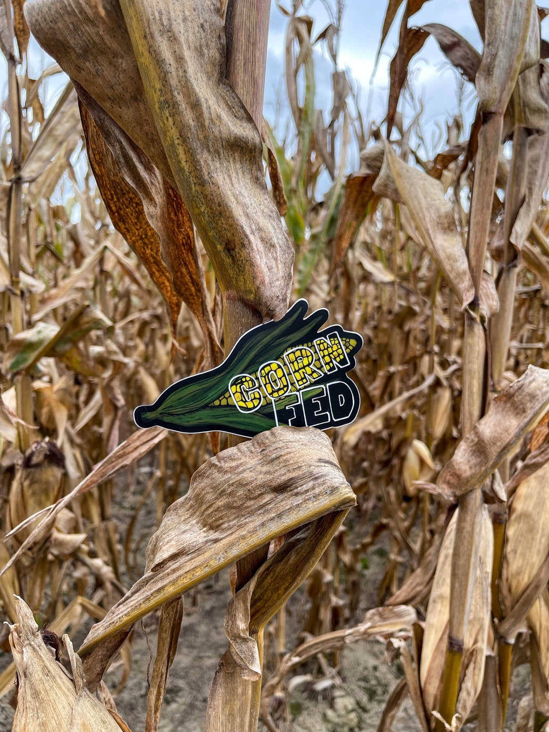 Corn Fed Sticker, Decal, Bumper Sticker - Etsy