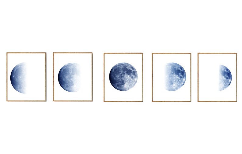 Navy Blue Moon Phases Lunar Prints Set of 5 Coastal Style - Etsy