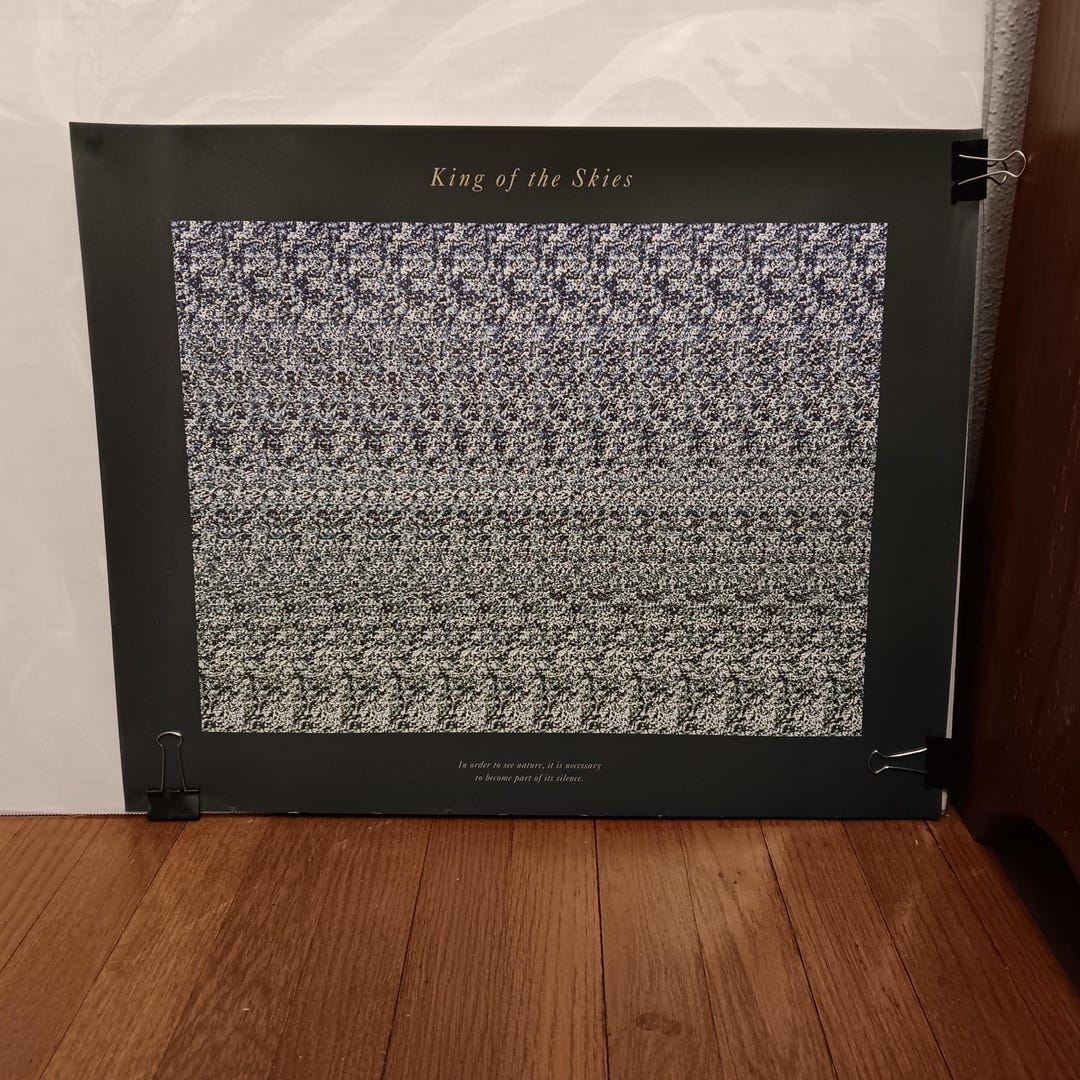 Vintage 90s "king of the Skies" Magic Eye Poster - Etsy