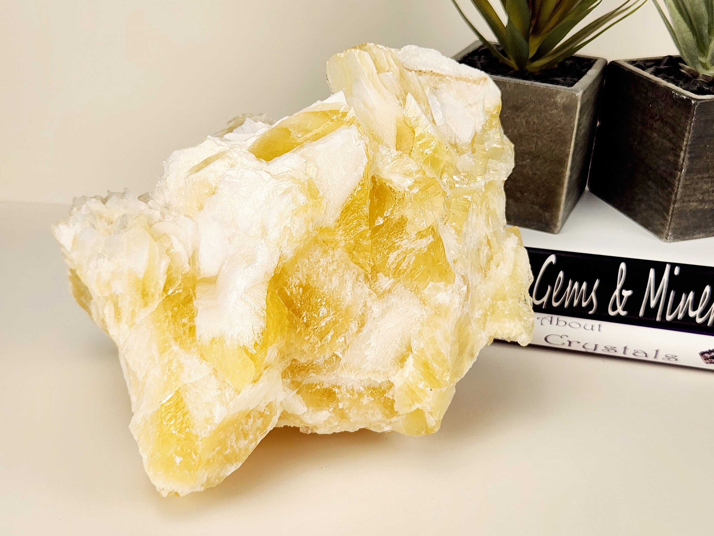 Massive 8 Lb. Angel Wing Calcite Crystal Specimen - Etsy