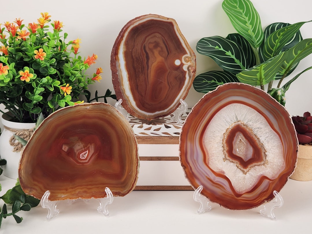 Red Rust "amber" Agate Slice W/ Free Stand (avg. 5.5-6.5 Inches) - Etsy