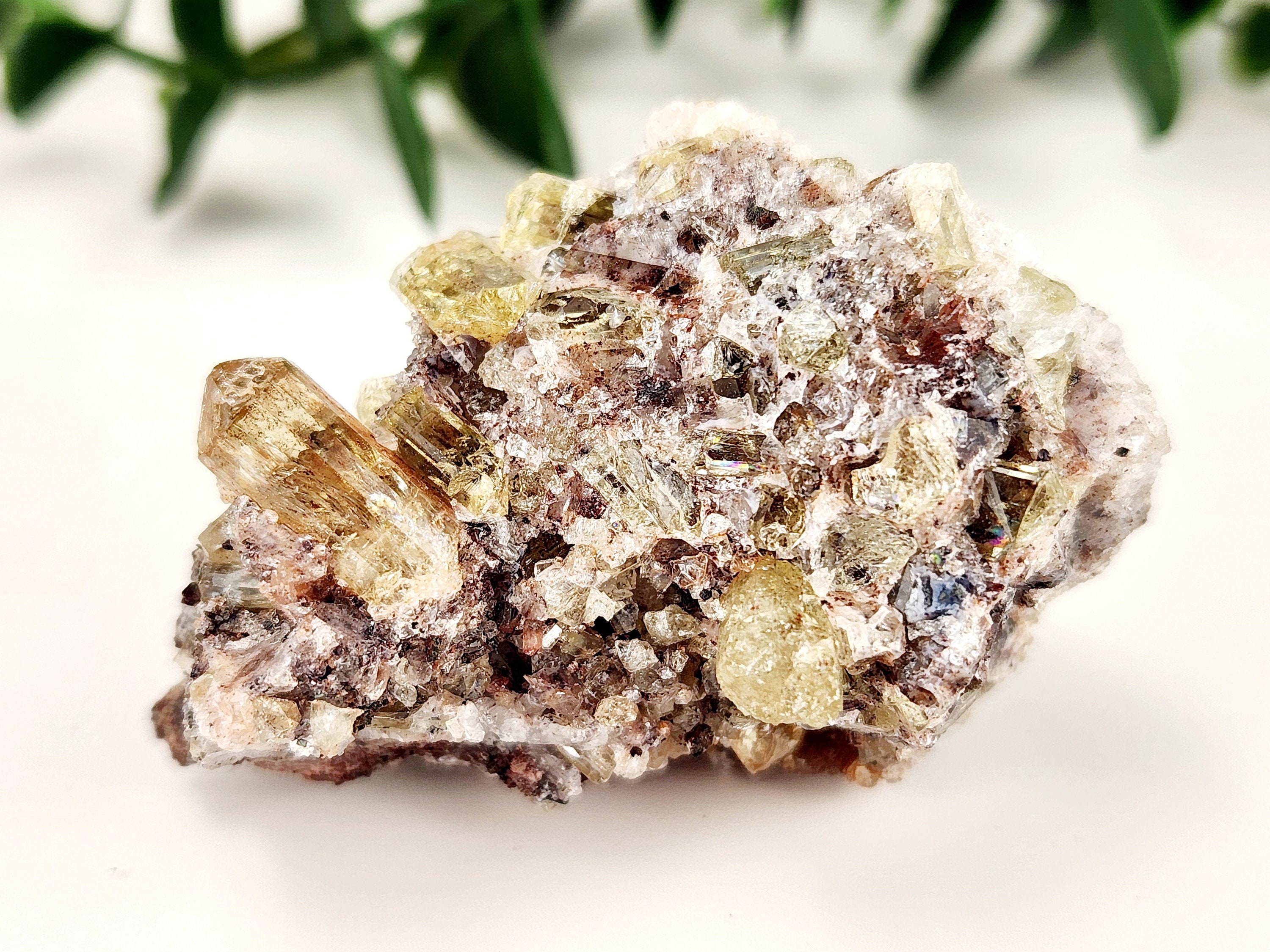 Yellow Gemmy Apatite Crystals in Matrix Specimen - Etsy