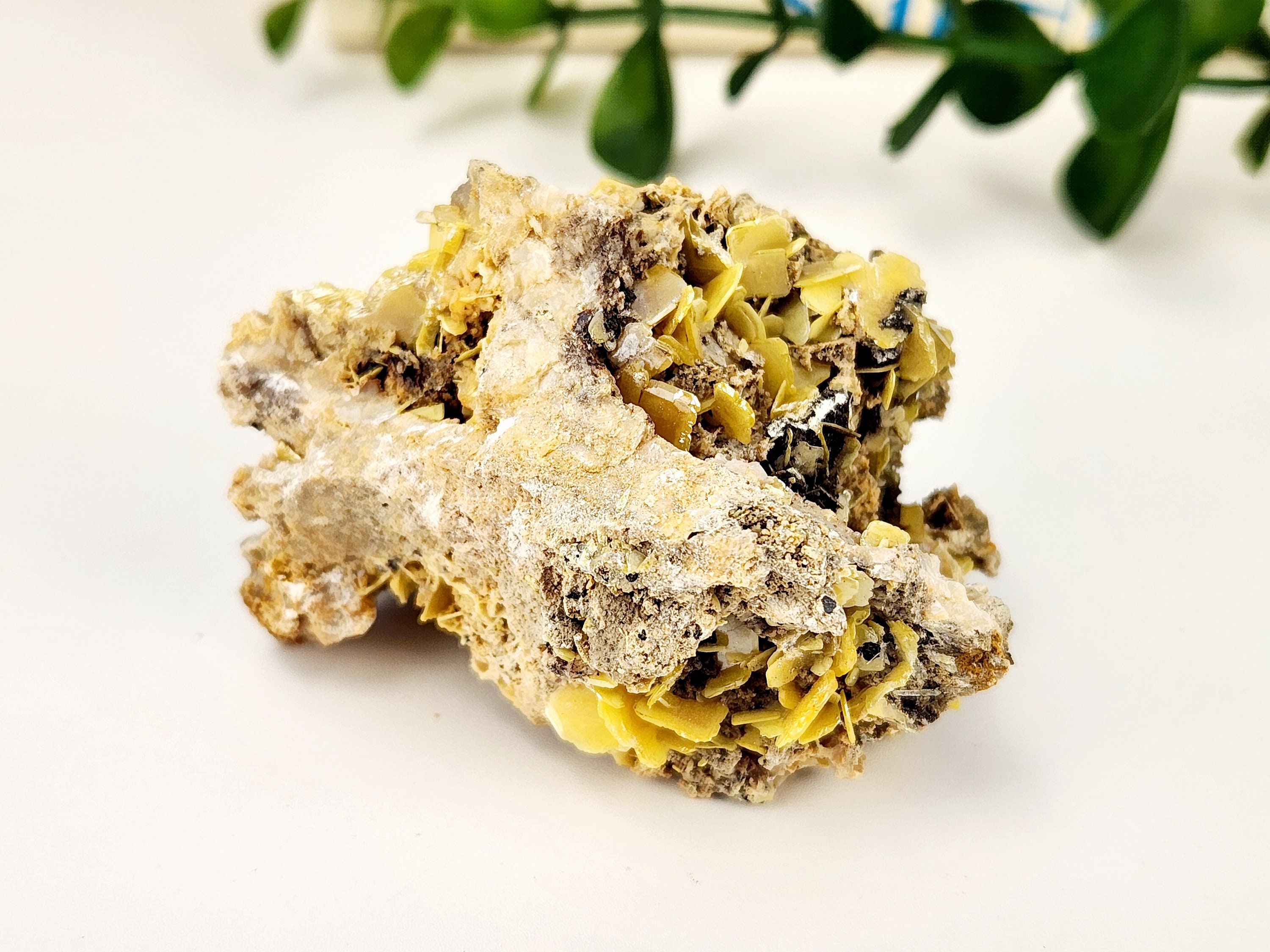 Yellow Wulfenite Crystal Mineral Specimen - Etsy