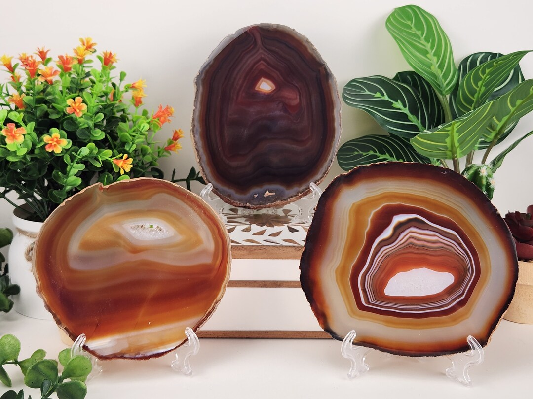 Red Rust "amber" Agate Slice W/ Free Stand (avg. 5.5-6.5 Inches) - Etsy