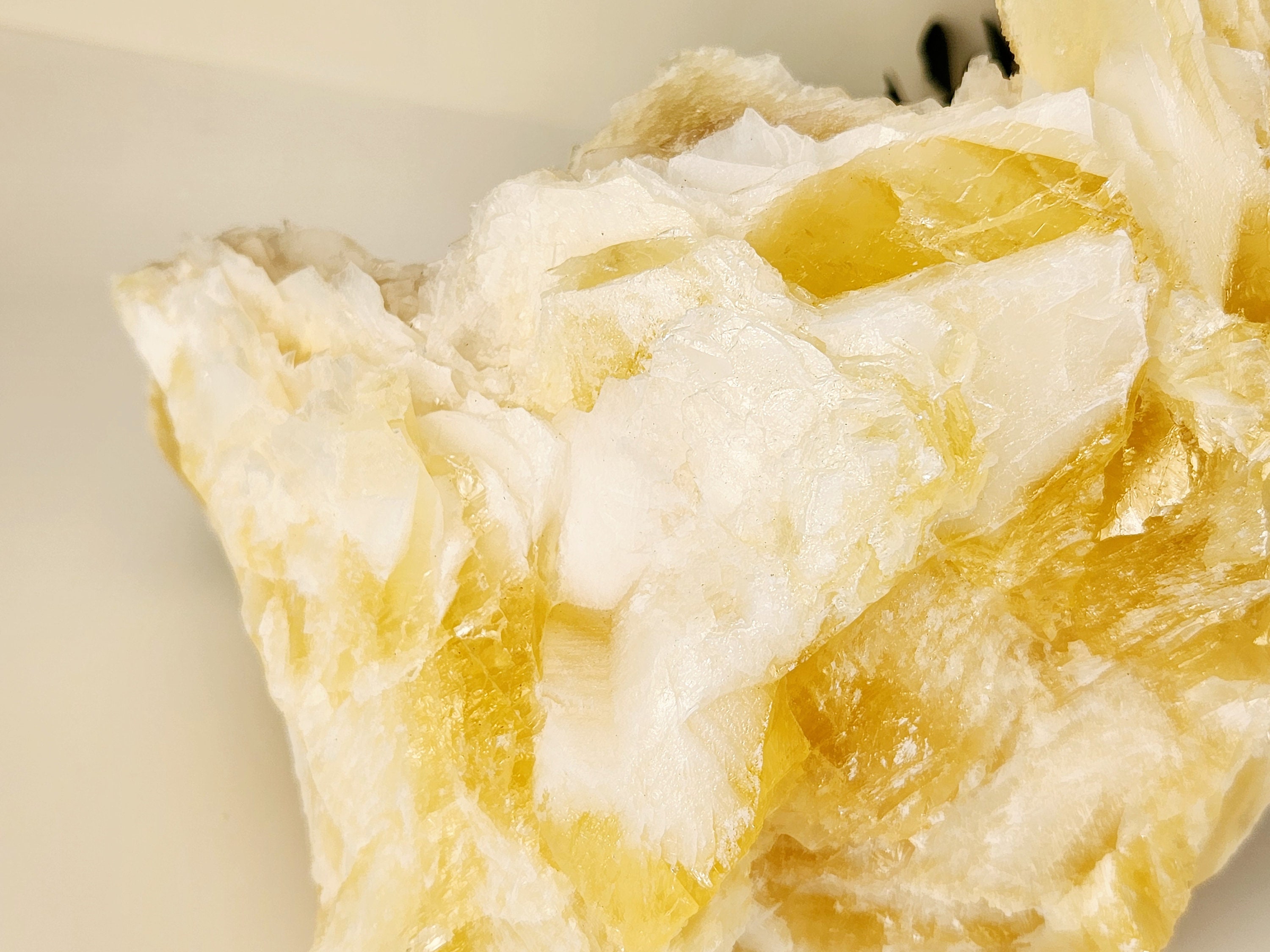 Massive 8 Lb. Angel Wing Calcite Crystal Specimen - Etsy