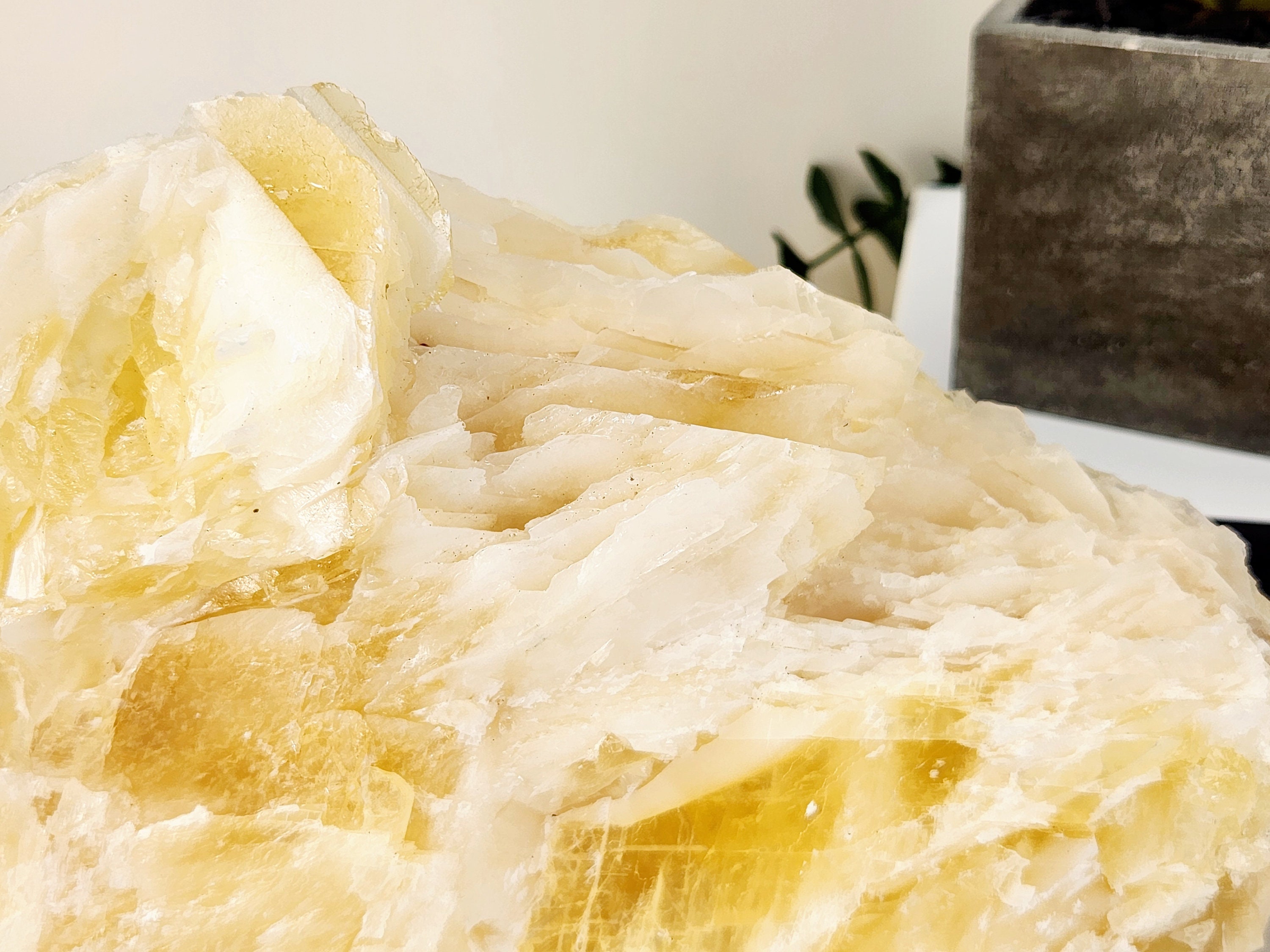 Massive 8 Lb. Angel Wing Calcite Crystal Specimen - Etsy
