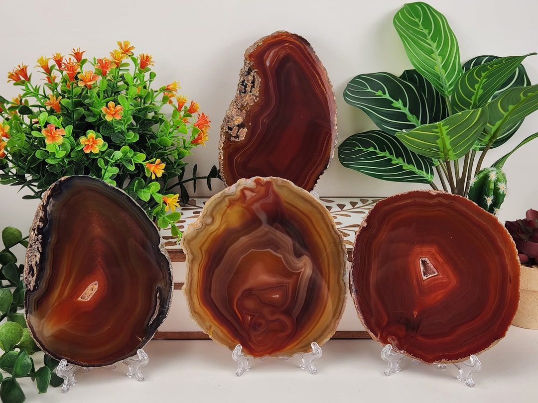 Red Rust "amber" Agate Slice W/ Free Stand (avg. 5.0-6.0 Inches) - Etsy