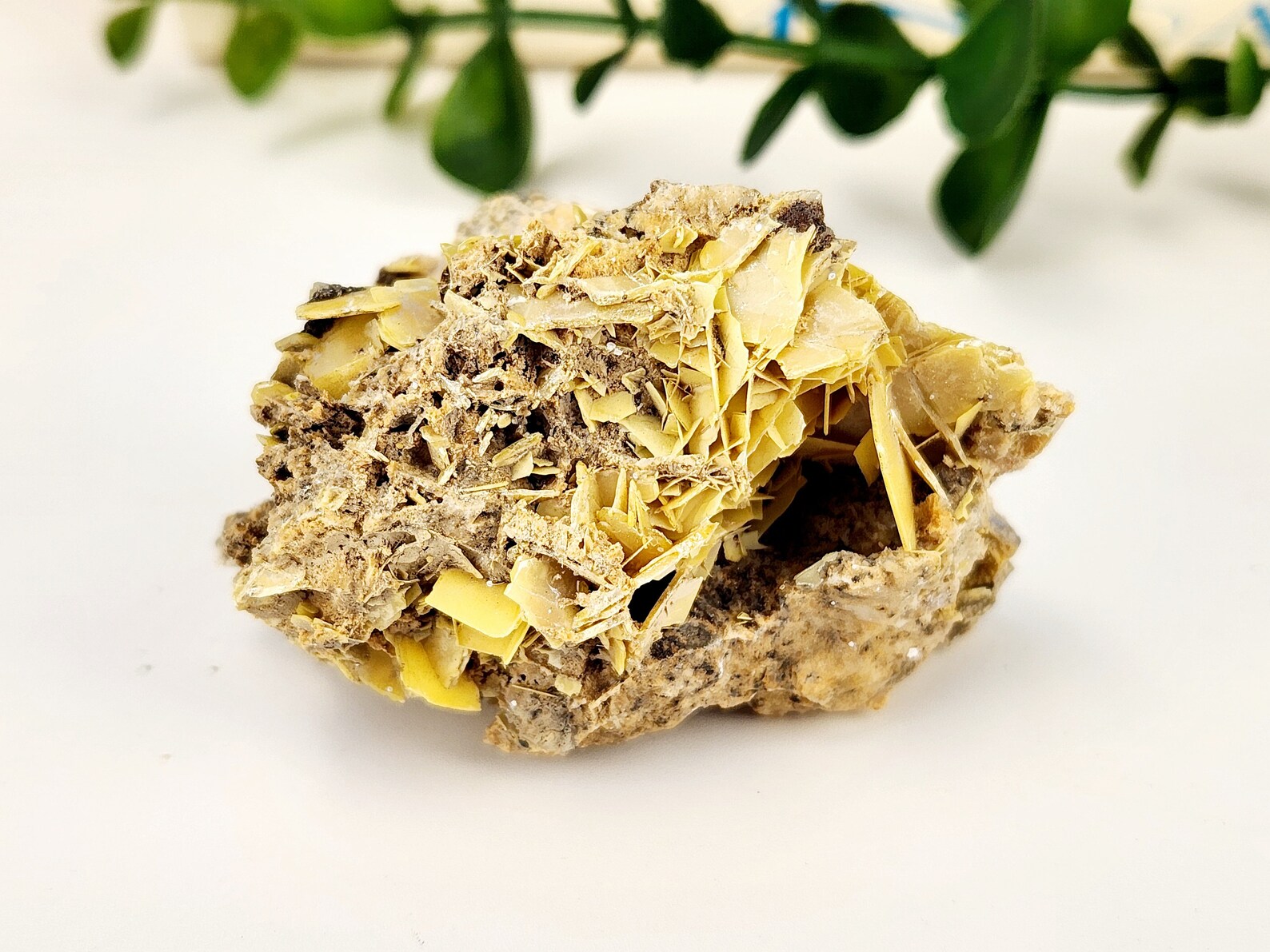 Yellow Wulfenite Crystal Mineral Specimen - Etsy