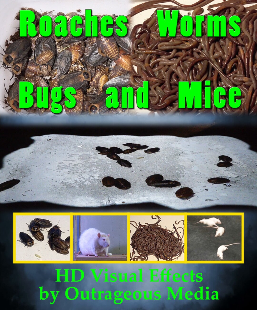 Roaches Worms Bugs And Mice Fx Etsy