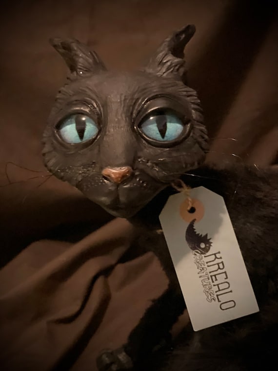 Coraline Cat