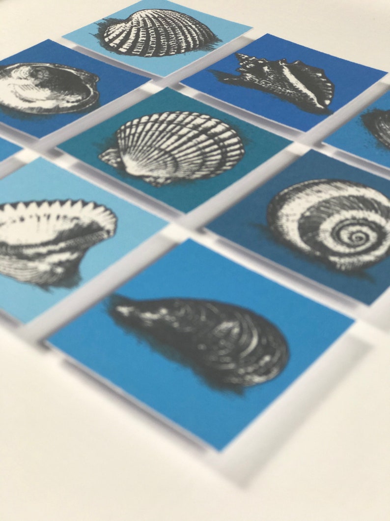 Ink Illustrations of Shells on Canvas Tiles Handmade and - Etsy