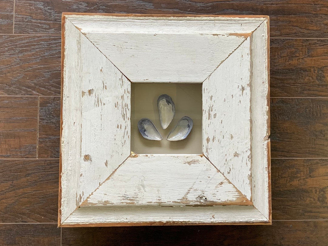 16.5” Square Shadow Box - Mussels - Etsy