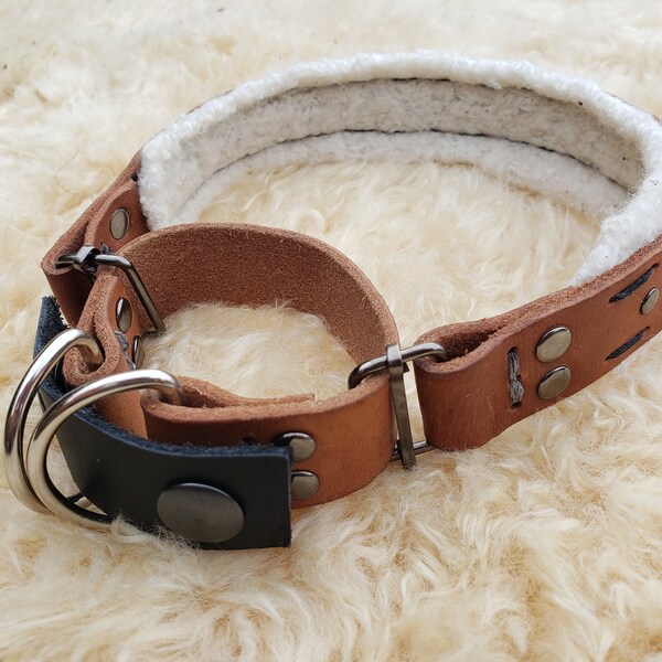 Leather Martingale Dog Collar - Etsy