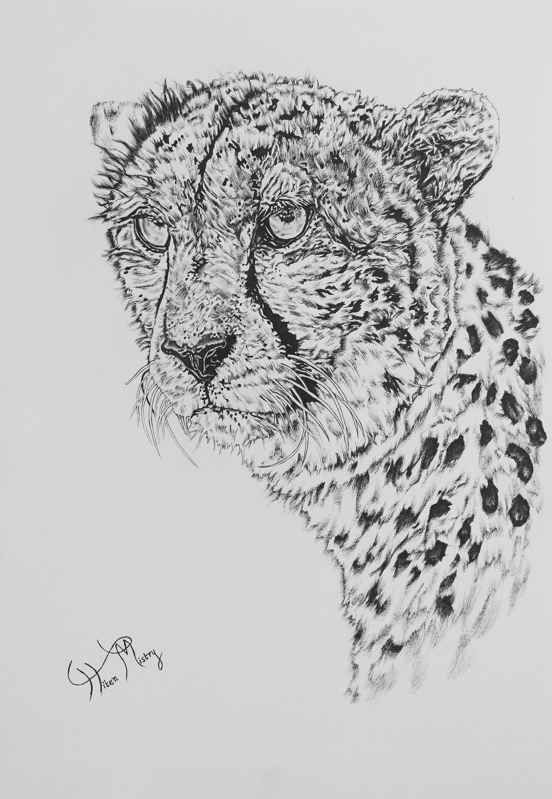 Original Cheetah Drawing Cheetah Wall Art Minimal Cheetah Art Cheetah ...