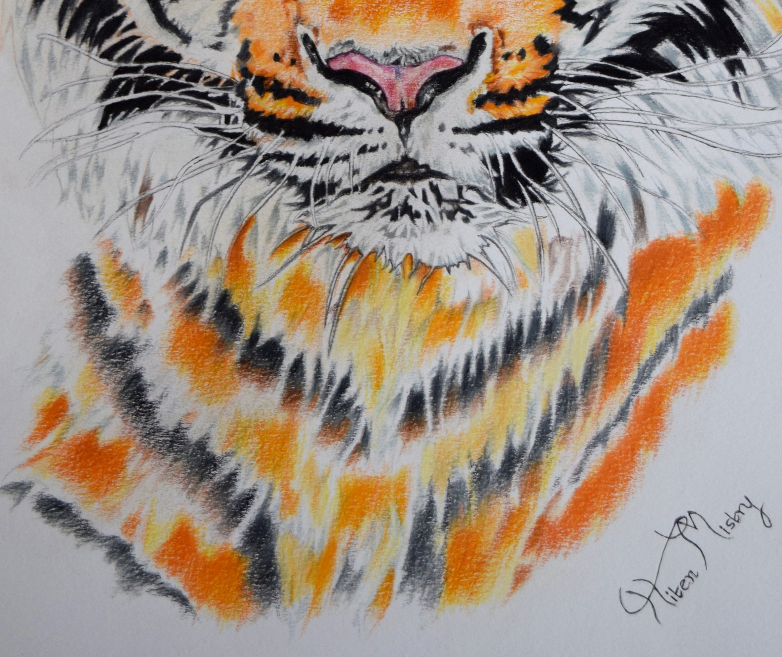 Original Tiger Portrait Drawing - Etsy