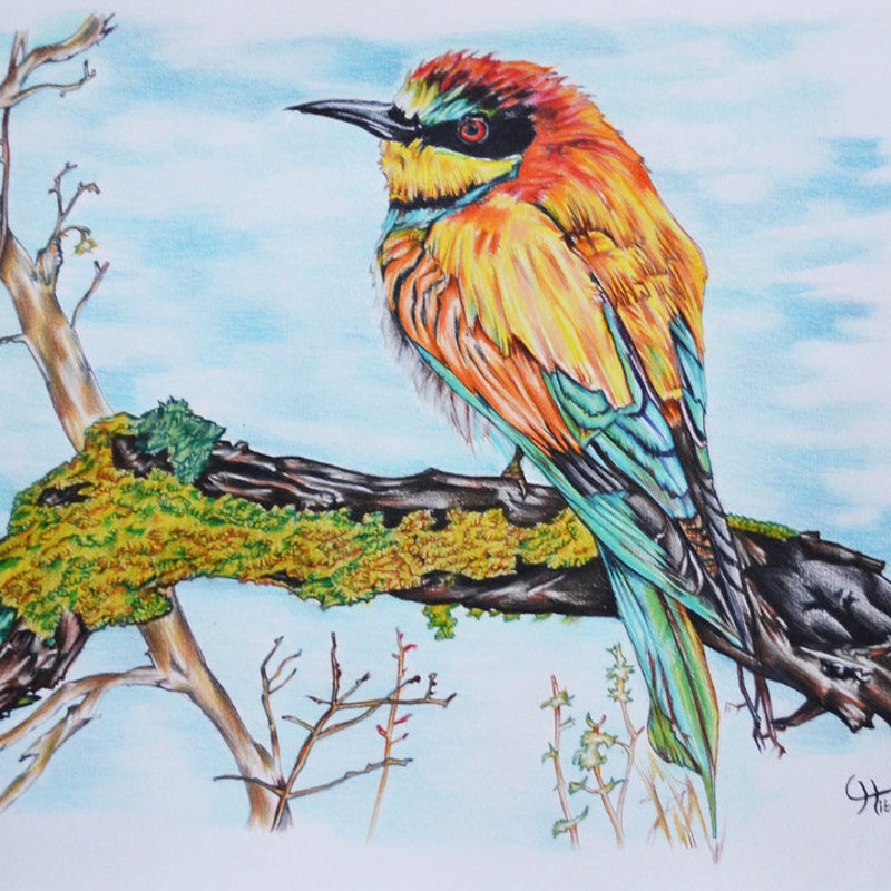Bee Eater - Etsy