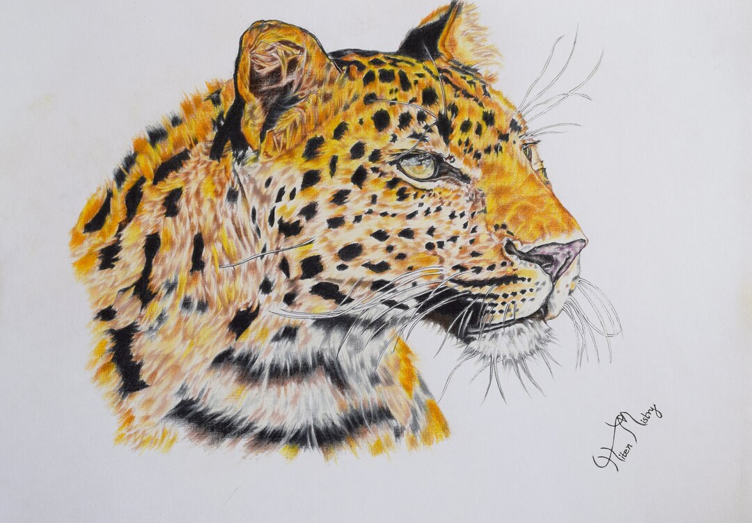 Original Artwork Leopard Drawing Leopard Drawing Original Leopard Art ...