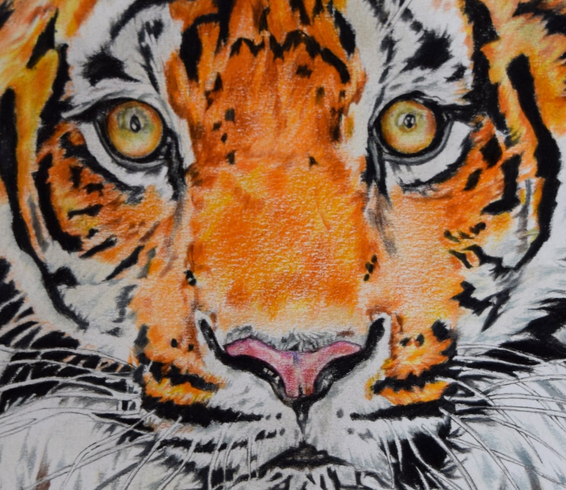 Original Tiger Portrait Drawing - Etsy
