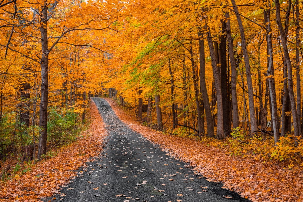Iowa Autumn Wallpapers