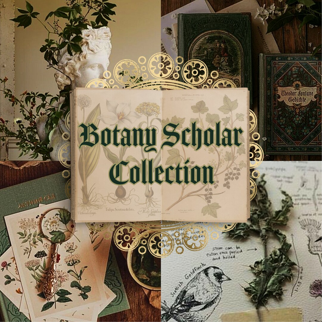 The Botany Scholar Curated Collection // Green Academia Botanical ...