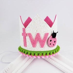 Our Little Ladybug, Ladybug Birthday, Lady Bug Birthday Crown, a Sweet ...