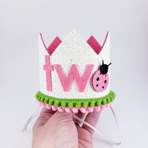 Our Little Ladybug, Ladybug Birthday, Lady Bug Birthday Crown, a Sweet ...