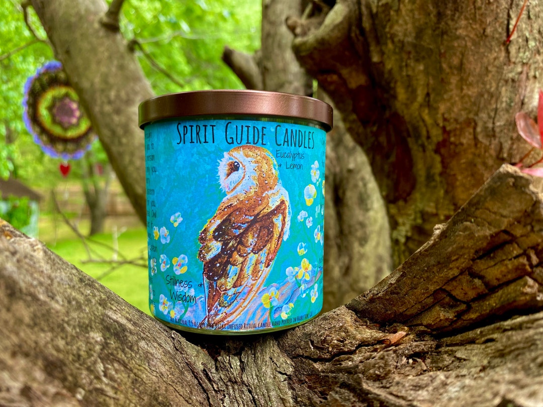 Owl Spirit Guide reiki Infused Ritual Candle, All Natural, Essential ...