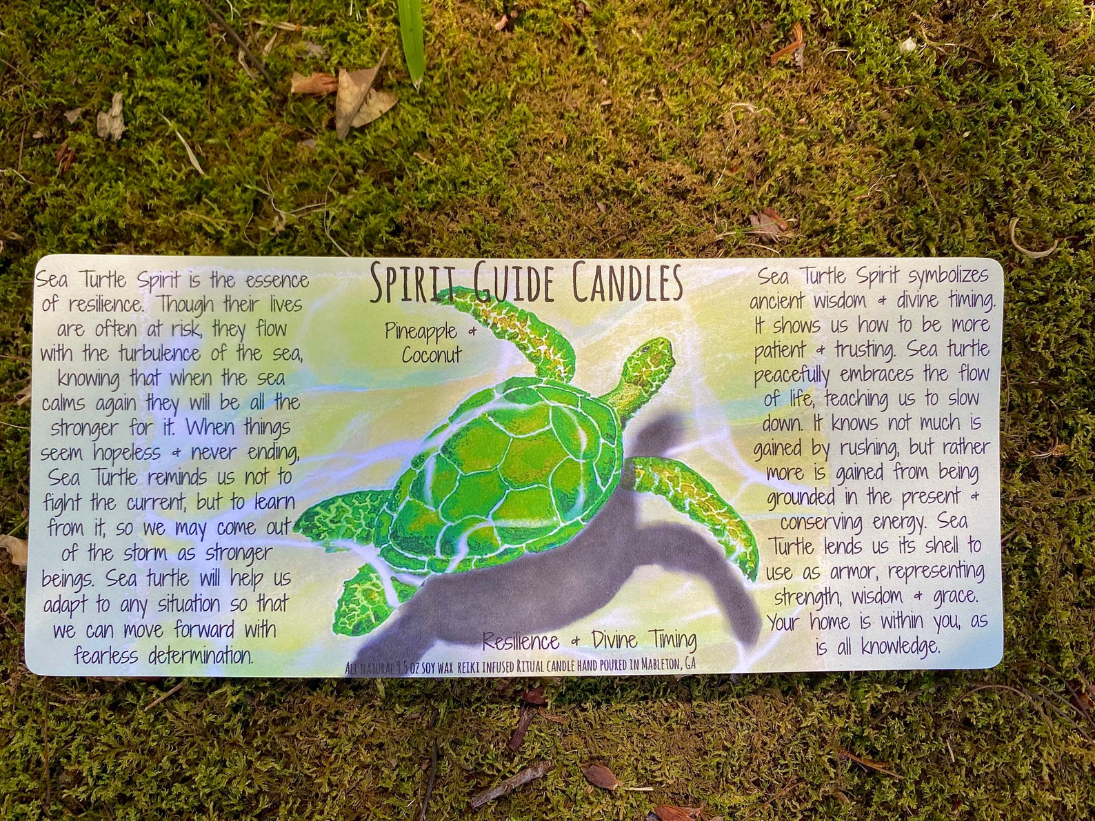 Sea Turtle Spirit Guide Reiki infused Ritual Candle All | Etsy