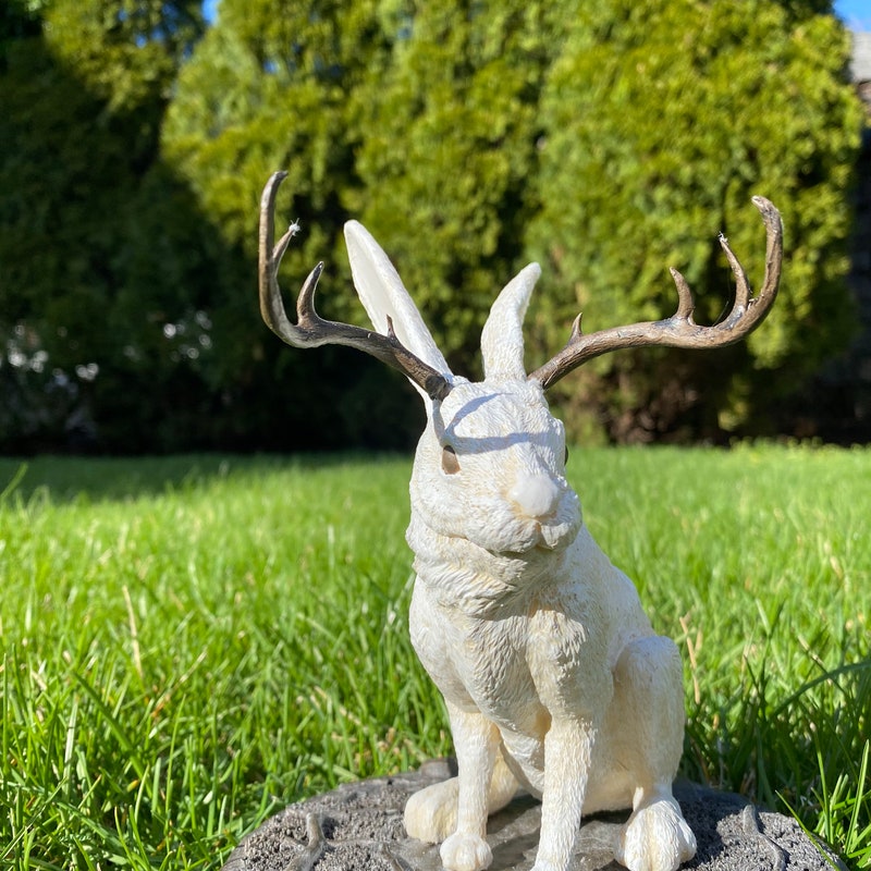 Jackalope Art - Etsy
