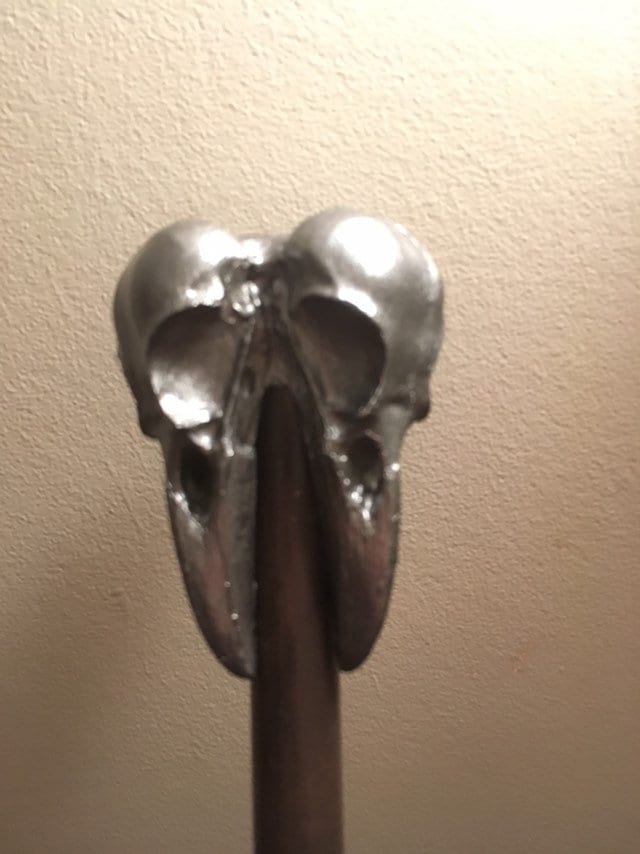 Crow Skull Cane - Etsy Canada