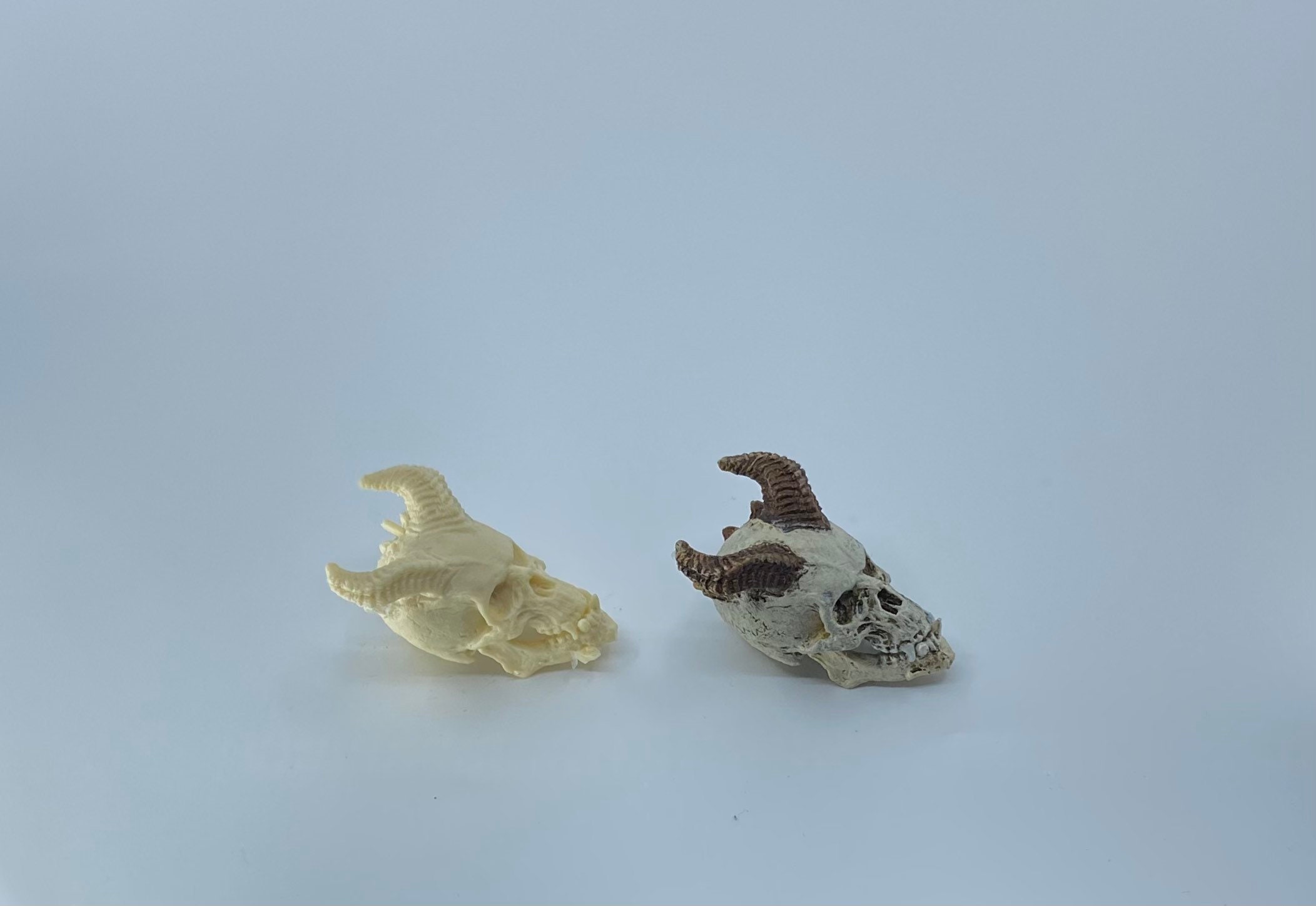 Miniature Demon Skull Replica. - Etsy