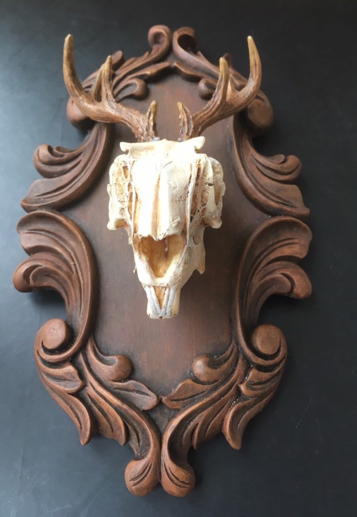 Jackalope Skull Plaque - Etsy
