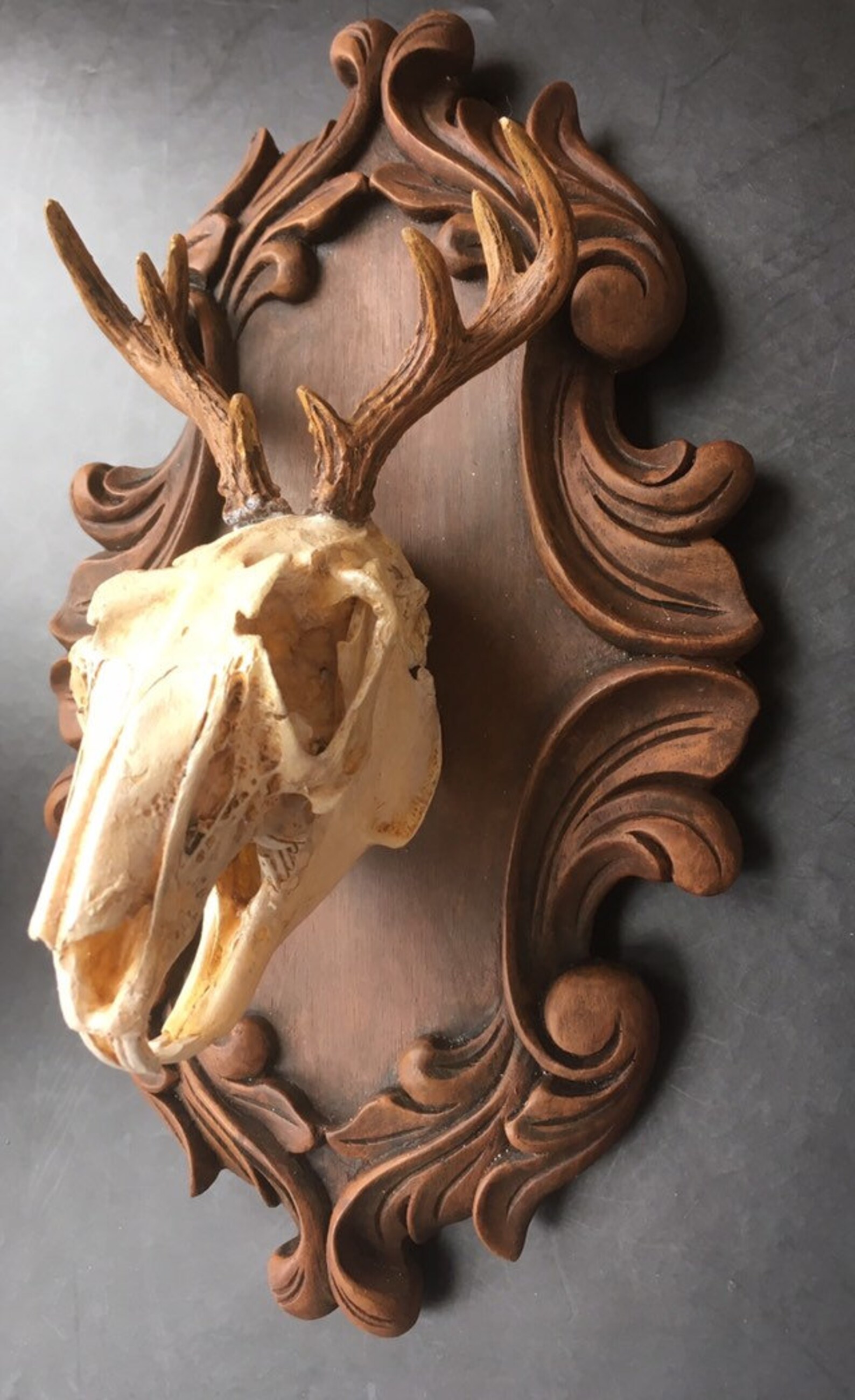 Jackalope Skull Plaque - Etsy