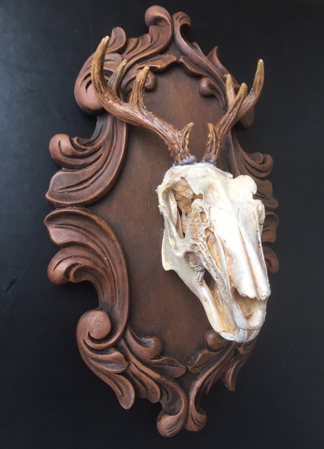 Jackalope Skull Plaque - Etsy