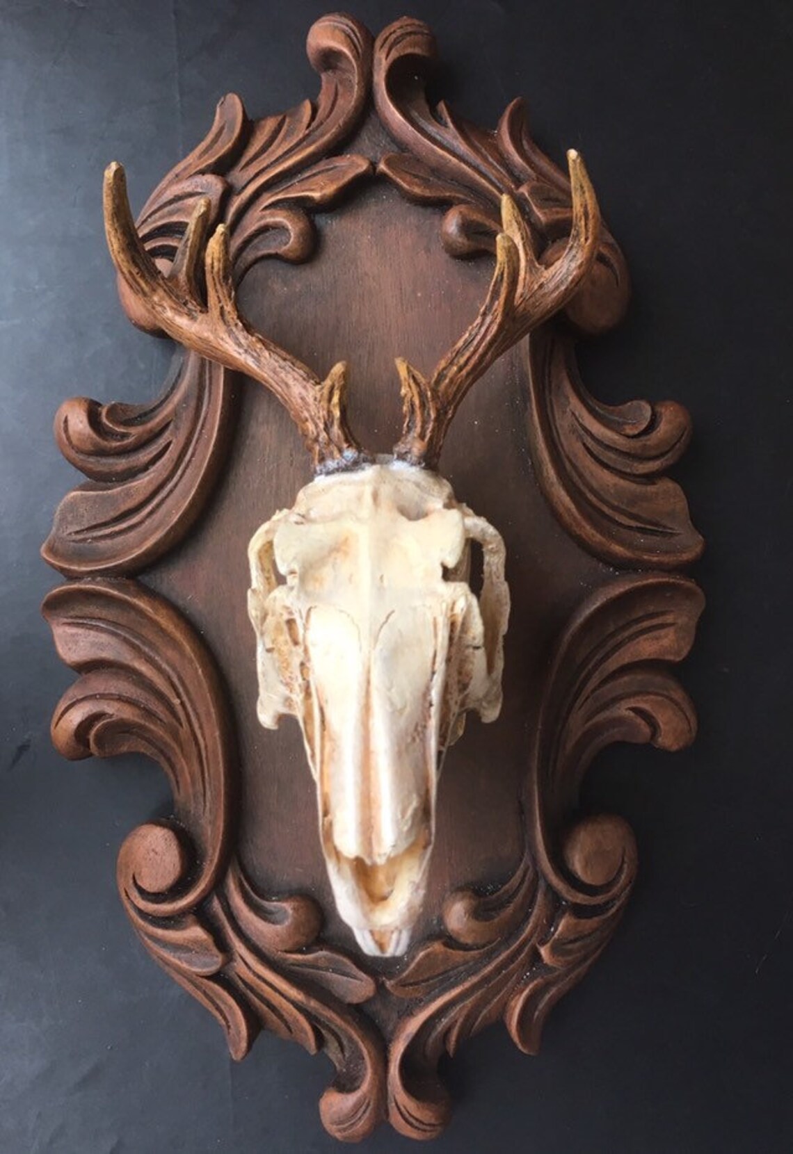Jackalope Skull Plaque - Etsy UK