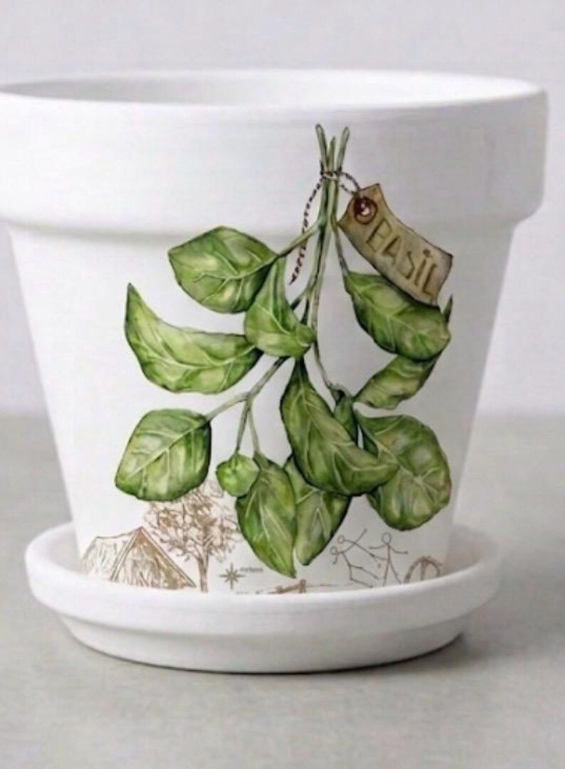 Marketplace- Basil Themed Planter Indoor Decor - Etsy UK