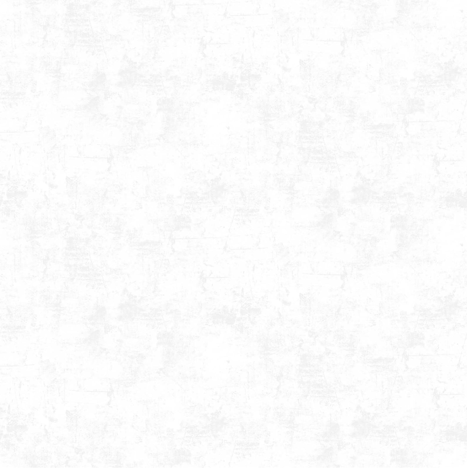 Northcott Canvas Blender Fabric Whitewash 9030-10 by the Half Yard - Etsy