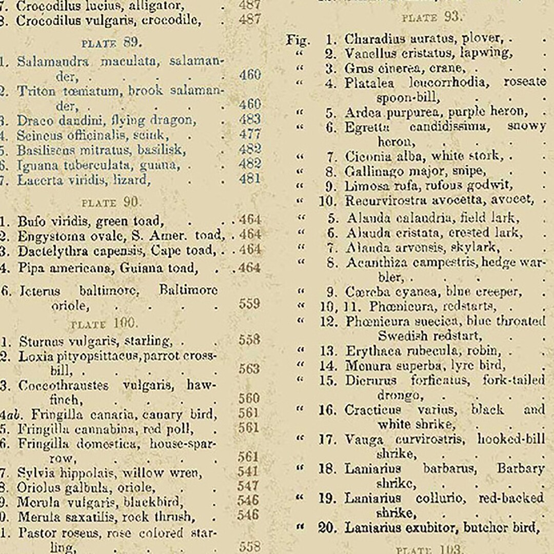 Encyclopedia Galactica Historica Table of Contents Fabric // Andover A ...