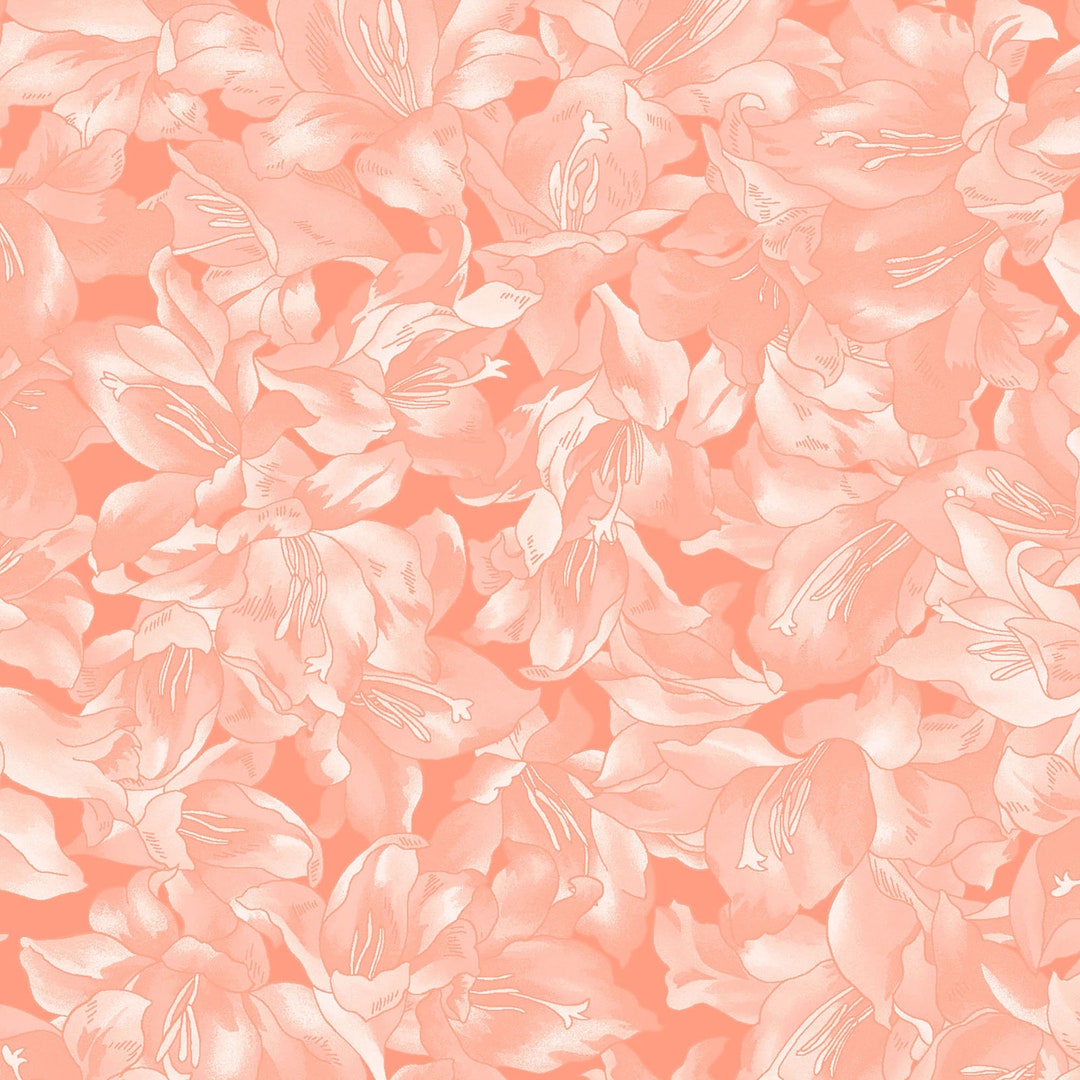 Sommersville Packed Floral Fabric // Maywood Studio MAS9833-P by the ...