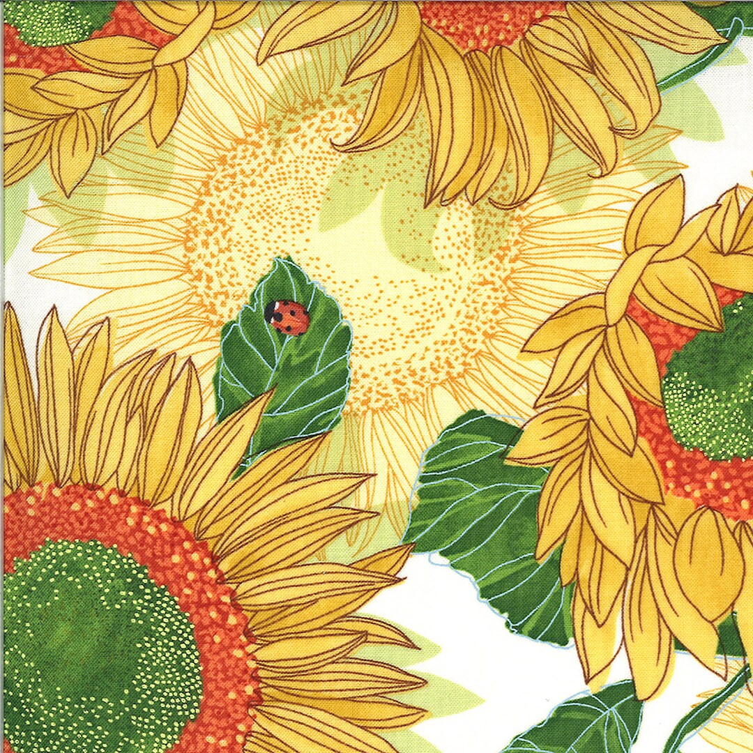 Solana Sunflowers Fabric Cream // Moda Fabrics 48680 11 by the Half ...