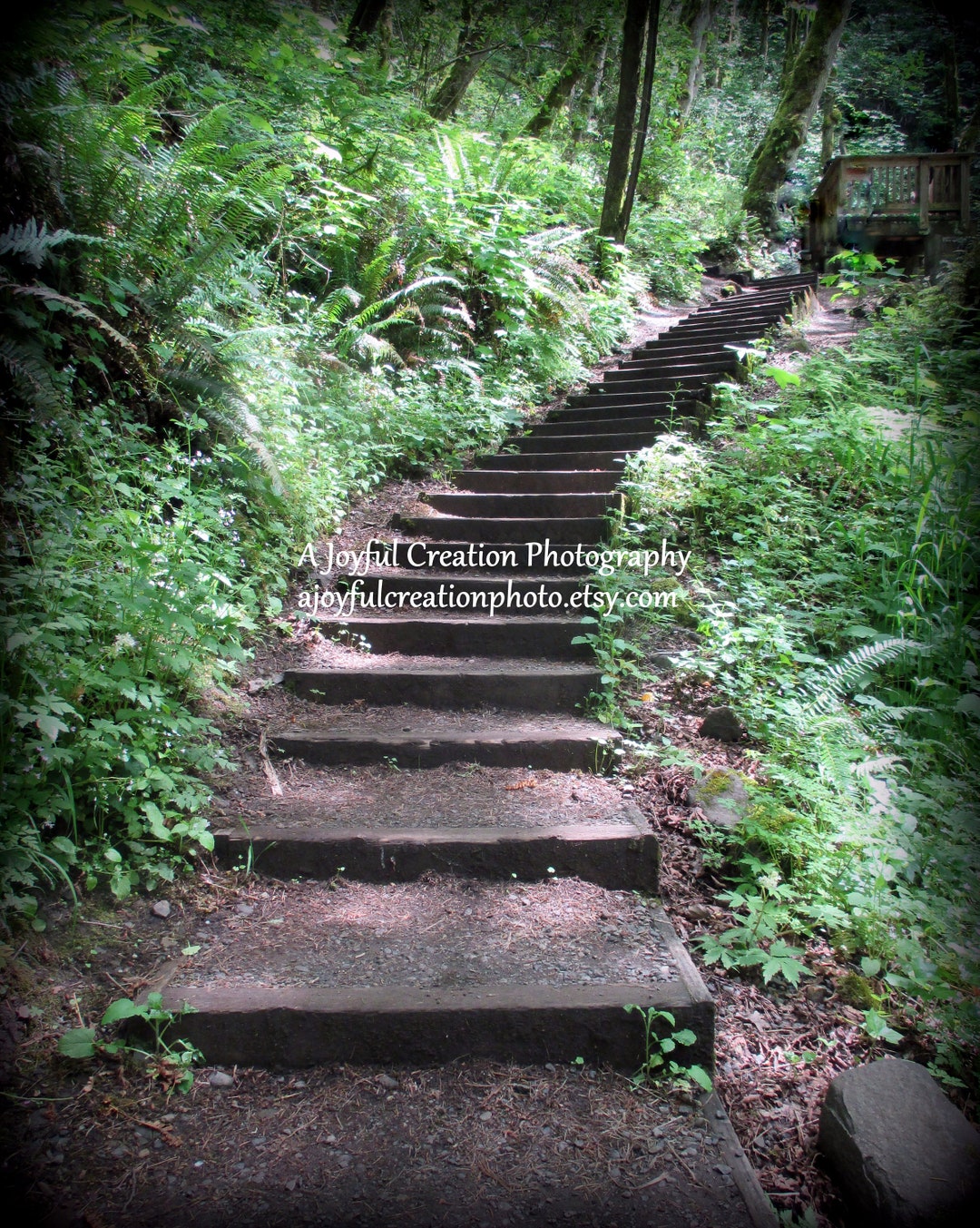 BRIDAL VEIL FALL - Steps - Oregon 5x7 Photograph - Etsy