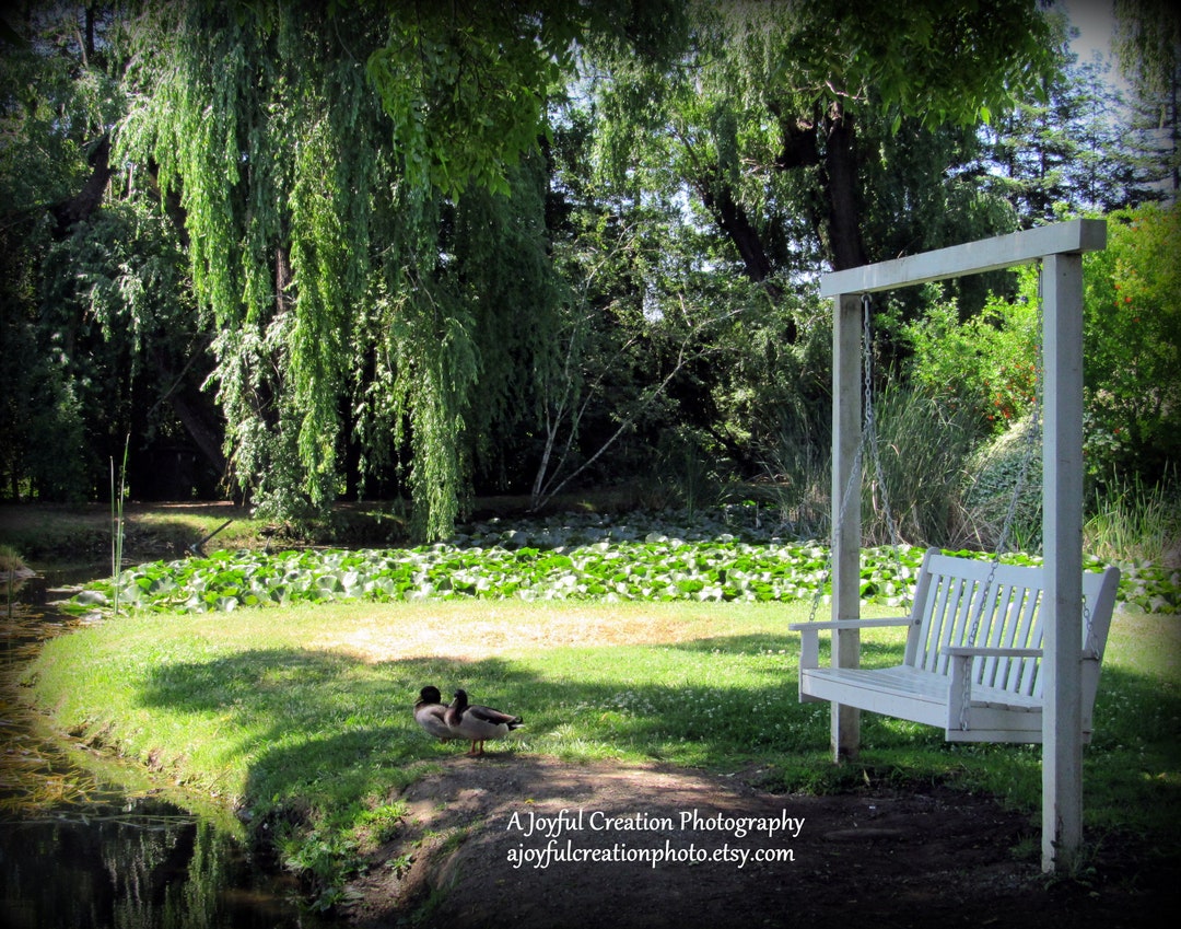 SWING AND DUCKS - Northern California - Etsy