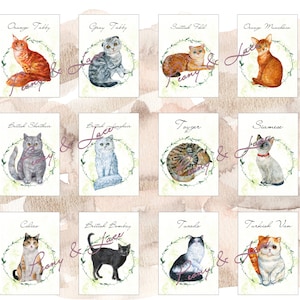 Printable DIY or Printed - 12 Cats Table Sign - Cats Table Number - Pet ...