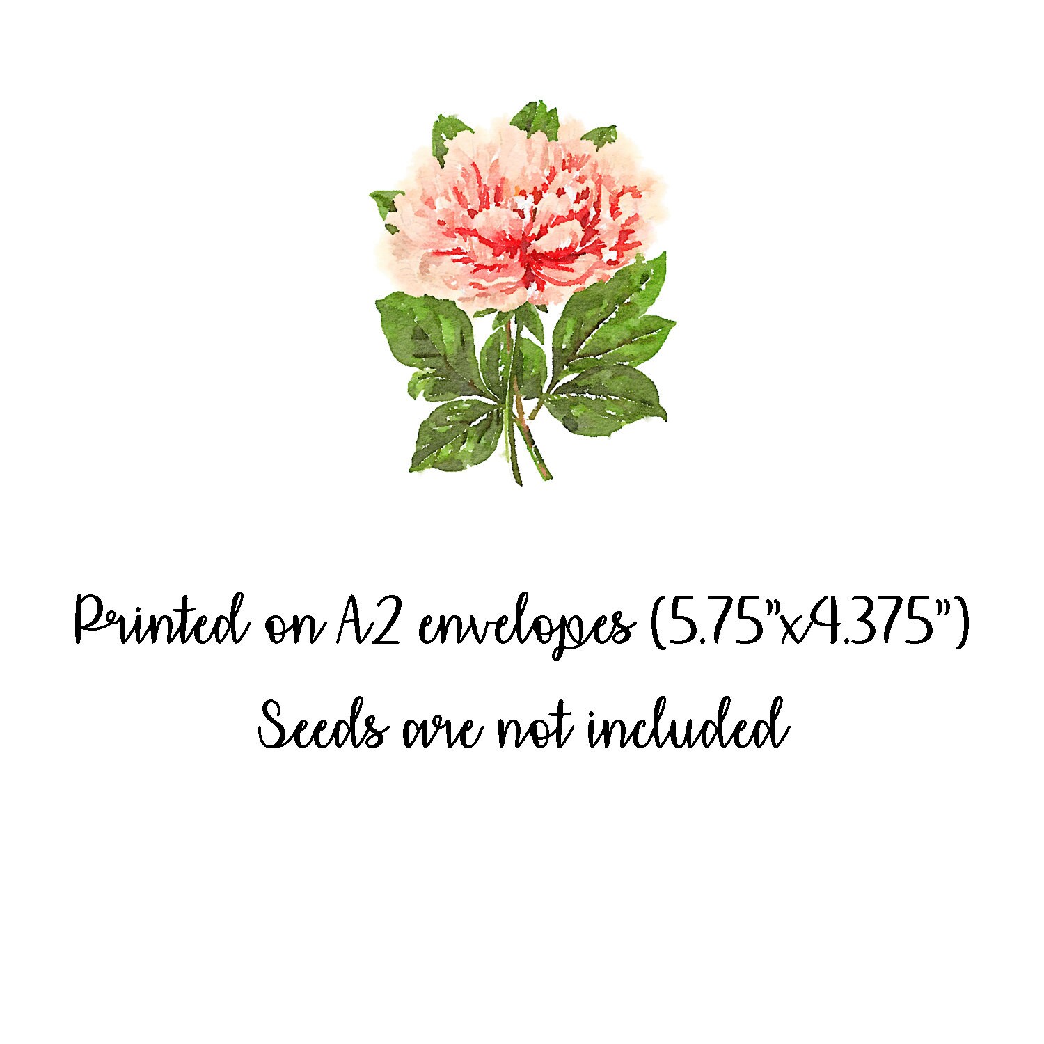 Roses Seed Envelope Roses Wedding Seeds Packet Roses | Etsy